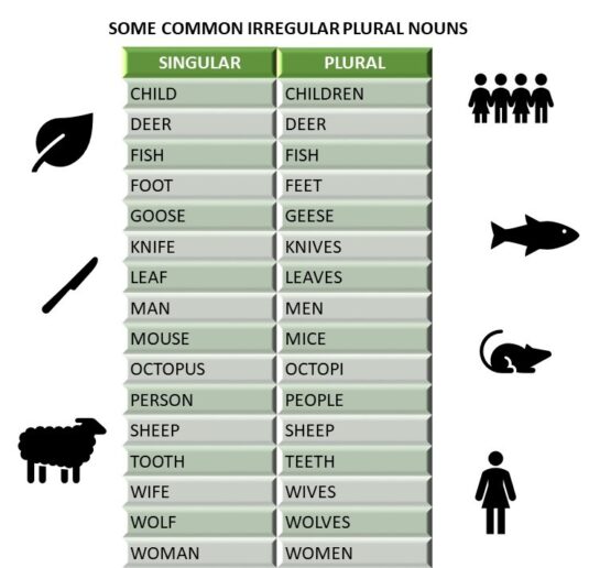 Some Common Irregular Plural Nouns - MCDemy.com